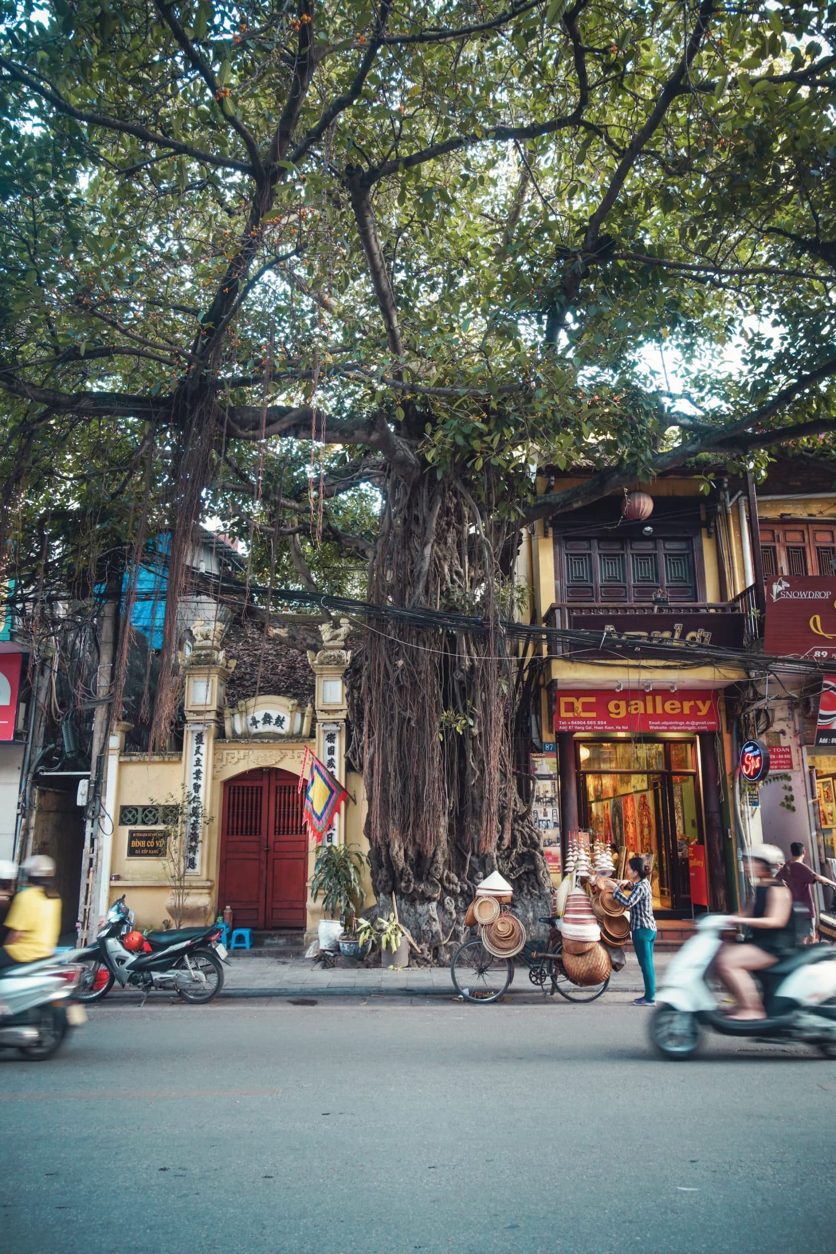 Explore Hanoi: Top Activities for First-Time Visitors - vpopwire