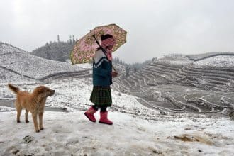 Snow in Vietnam: A Winter Wonderland in Y Ty and Sapa - vpopwire