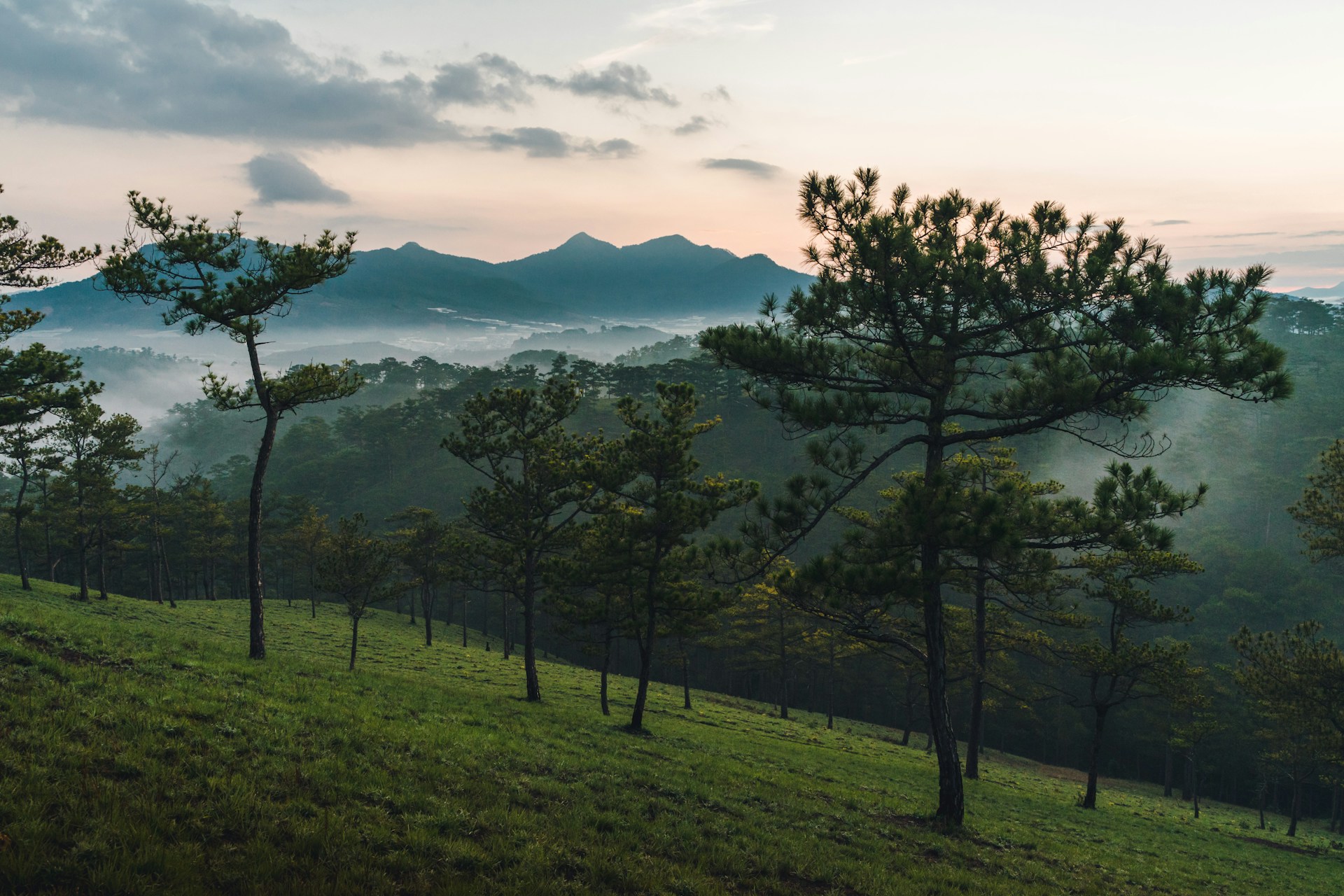Your Ultimate Guide to Long-Term Accommodation in Vietnam for Expats ...